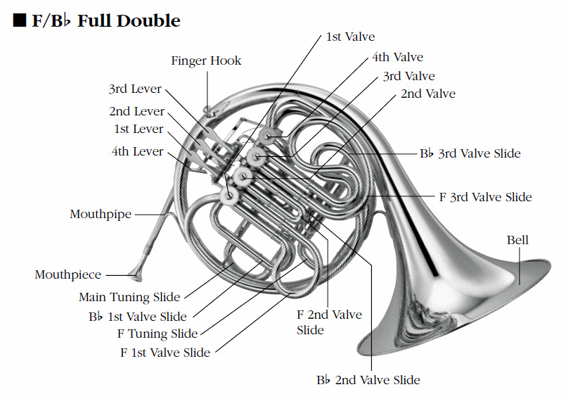 The Enduring Allure of the French Horn